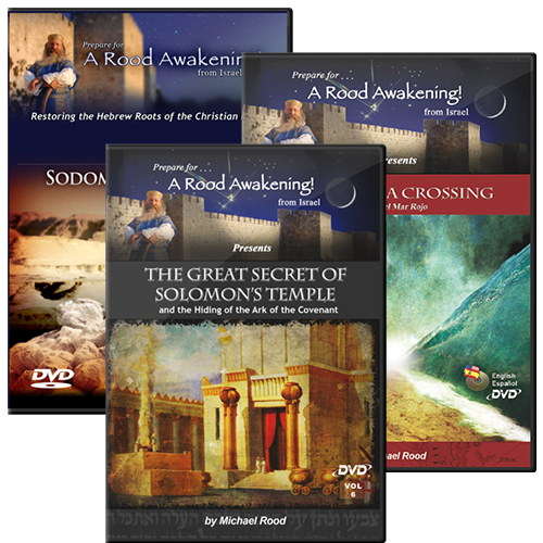 Bundles – A Rood Awakening! International